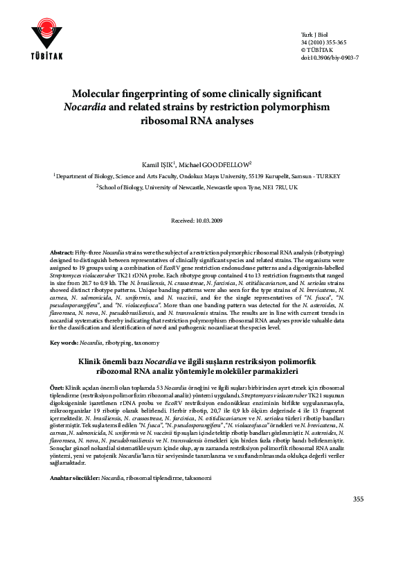 (PDF) Differentiation of Nocardia Species by PCR-Randomly Amplified ...