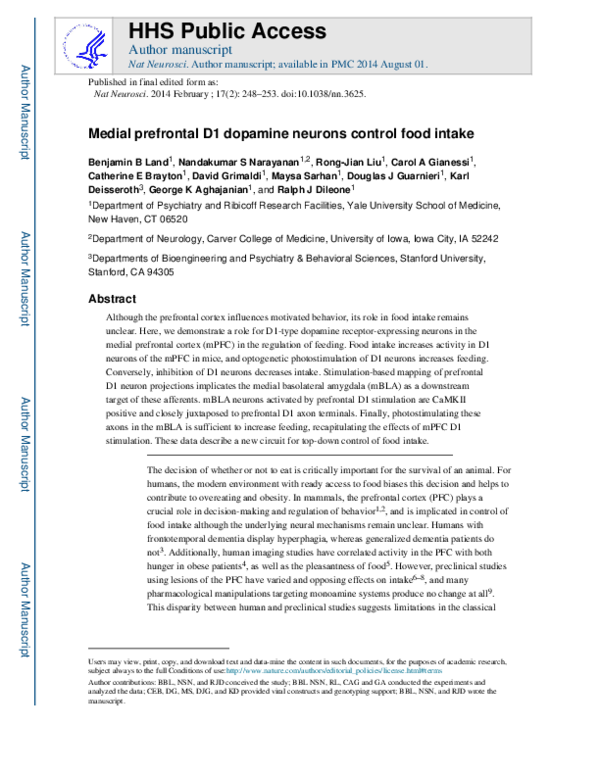 (PDF) Medial prefrontal D1 dopamine neurons control food intake