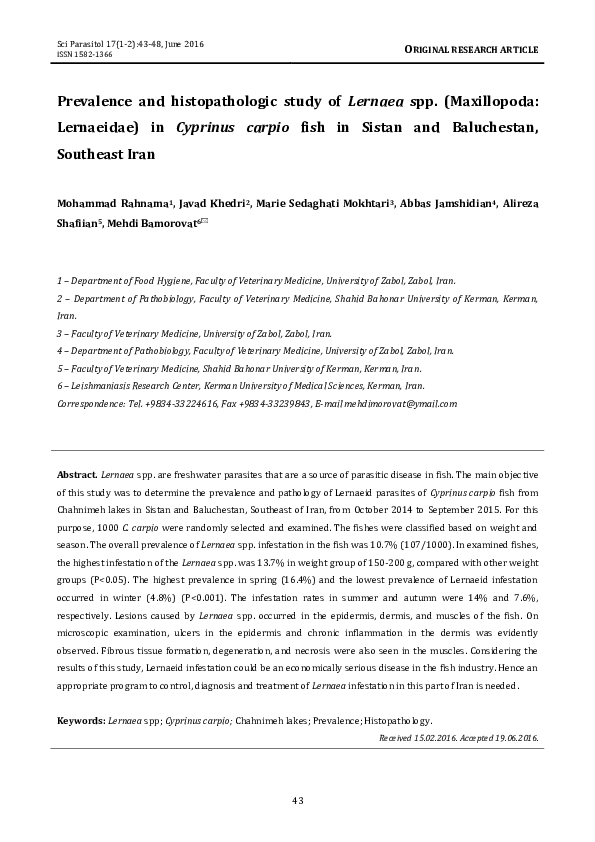 (PDF) Prevalence and histopathologic study of Lernaea spp ...