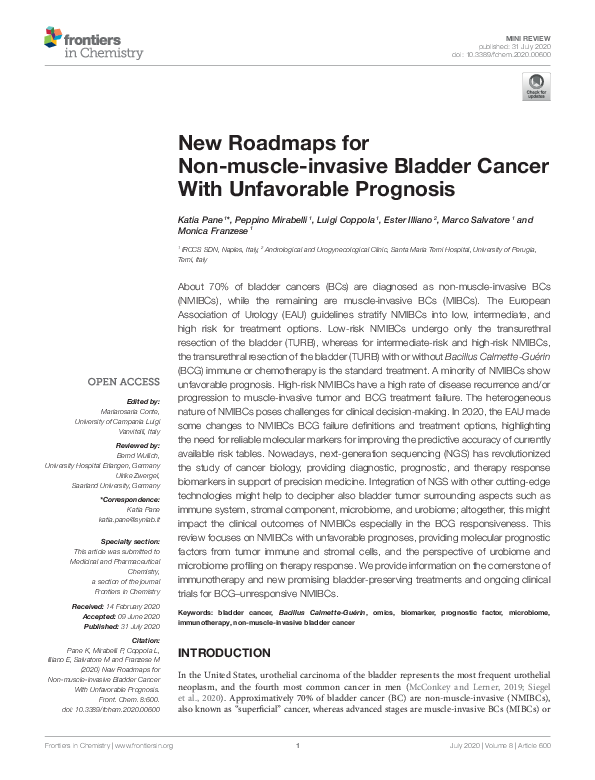 (PDF) New Roadmaps for Non-muscle-invasive Bladder Cancer With Unfavorable Prognosis