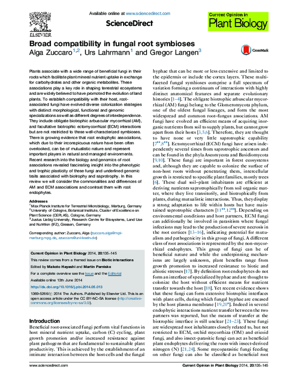(PDF) Broad compatibility in fungal root symbioses | Gregor Langen ...