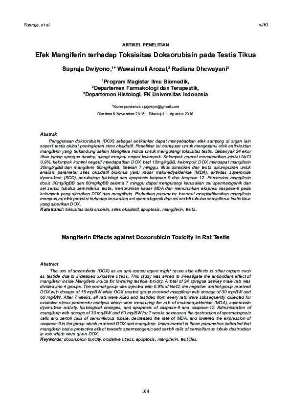 (PDF) Efek Mangiferin terhadap Toksisitas Doksorubisin pada Testis Tikus