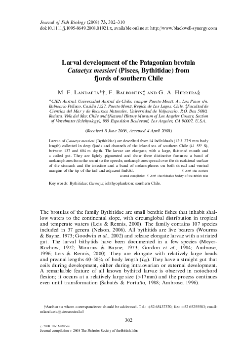 (PDF) Larval development of the Patagonian brotula Cataetyx messieri ...