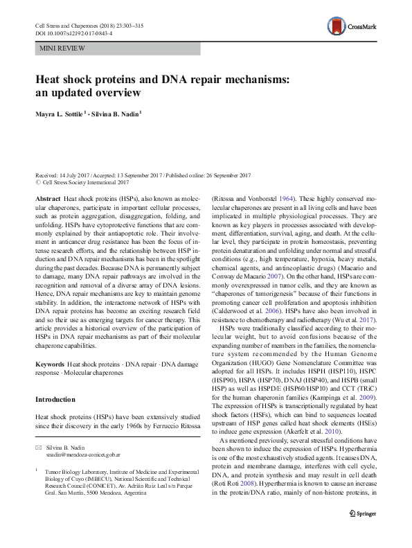 (PDF) Heat shock proteins and DNA repair mechanisms: an updated overview