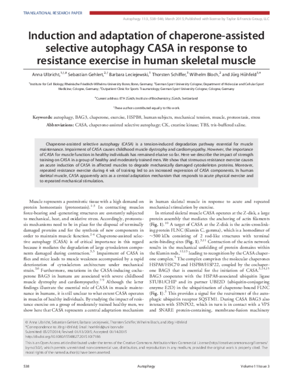 (PDF) Induction and adaptation of chaperone-assisted selective ...