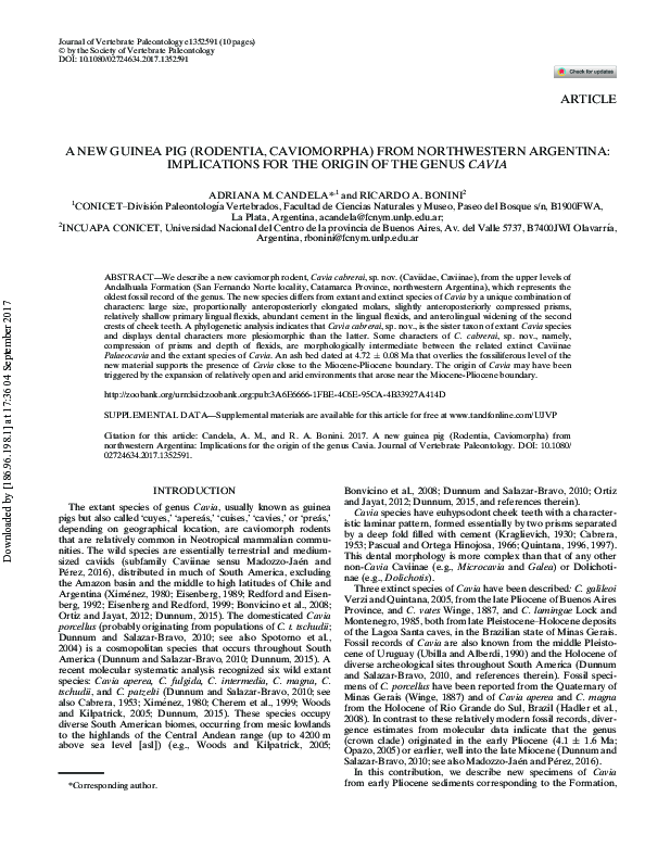 (PDF) A new guinea pig (Rodentia, Caviomorpha) from northwestern ...