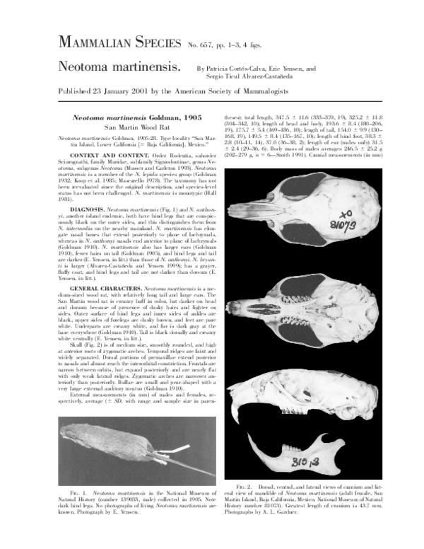 (PDF) Neotoma martinensis