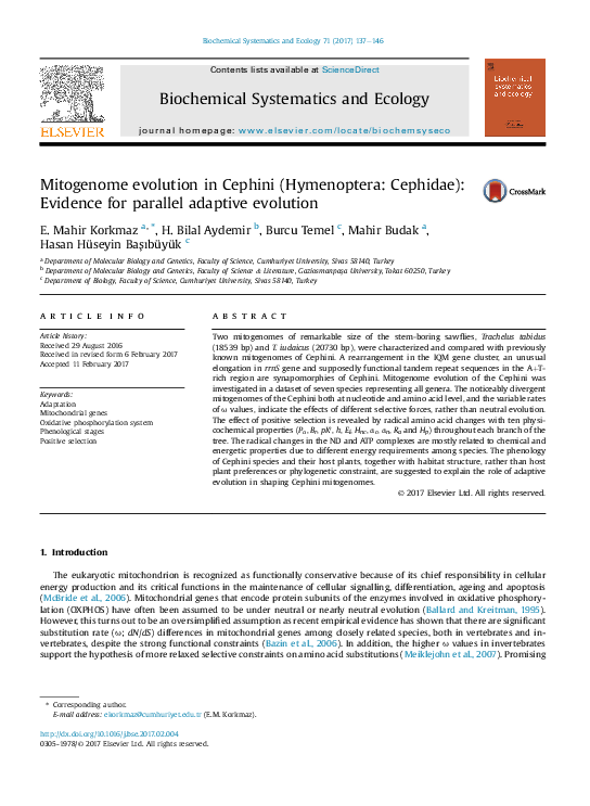 (PDF) Mitogenome evolution in Cephini (Hymenoptera: Cephidae): Evidence ...