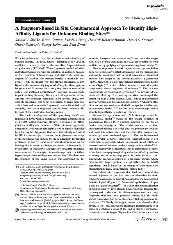 (PDF) A Fragment-Based In Situ Combinatorial Approach To Identify High ...