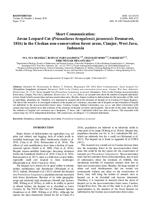(PDF) Short Communication: Javan Leopard Cat (Prionailurus bengalensis ...