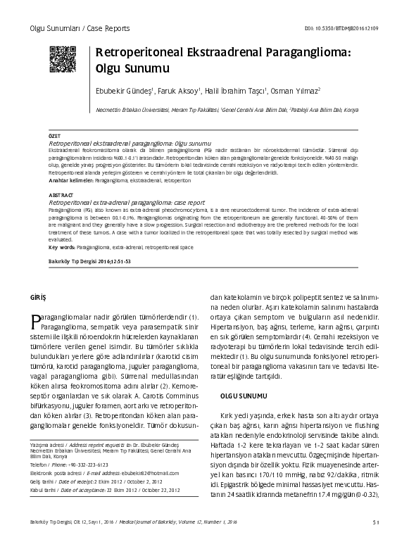 (PDF) Retroperitoneal ekstraadrenal paraganglioma: Olgu sunumu