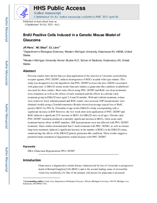 (PDF) BrdU Positive Cells Induced in a Genetic Mouse Model of Glaucoma
