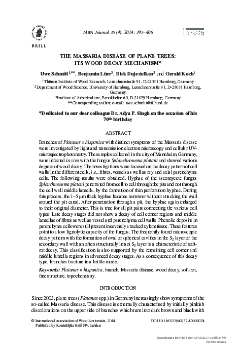 (PDF) The Massaria disease of plane trees:its wood decay mechanism