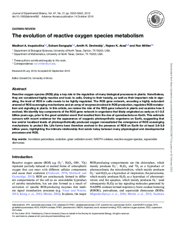 (PDF) The evolution of reactive oxygen species metabolism