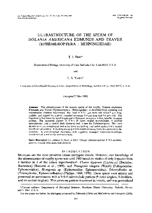 (PDF) Ultrastructure of the sperm of Dolania americana Edmunds and ...