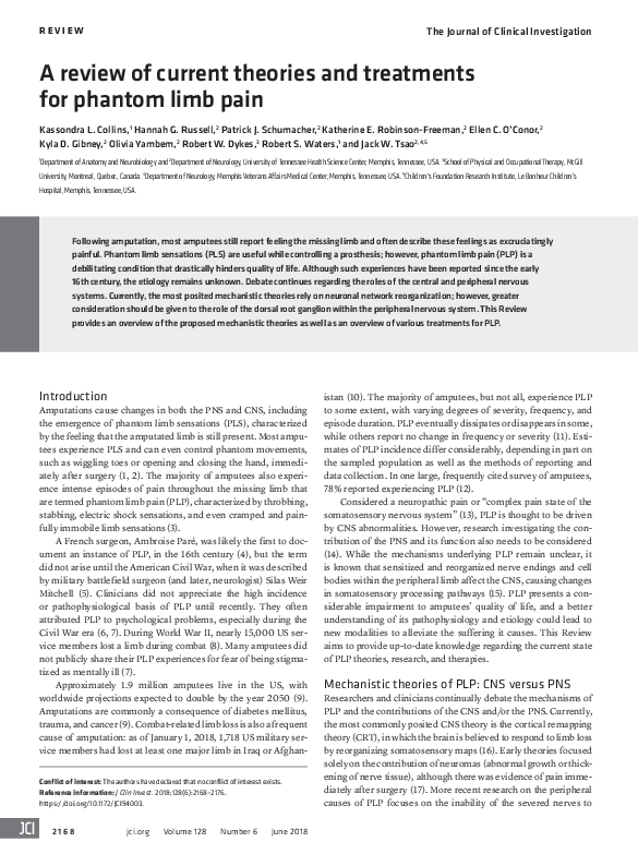 (PDF) A review of current theories and treatments for phantom limb pain