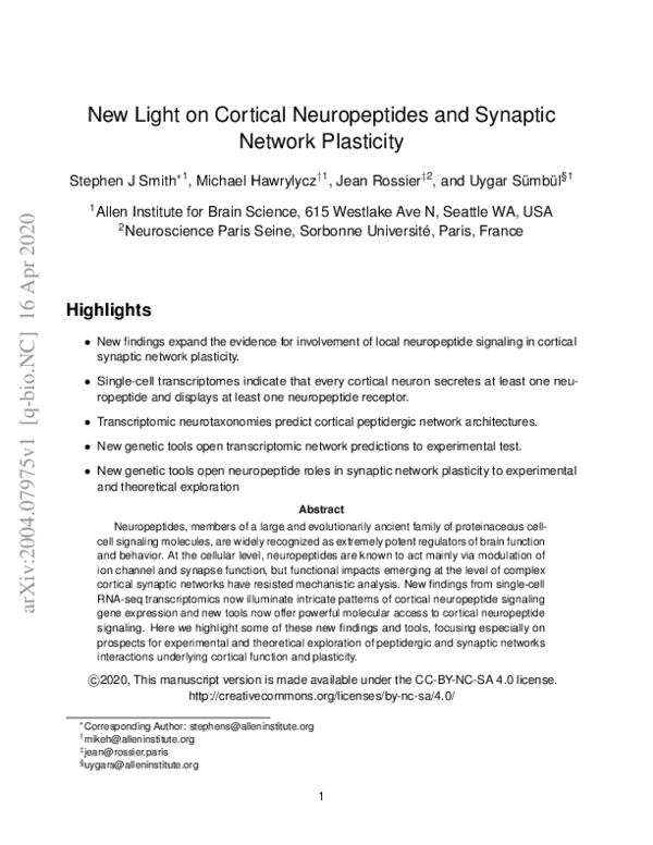 (PDF) New light on cortical neuropeptides and synaptic network plasticity
