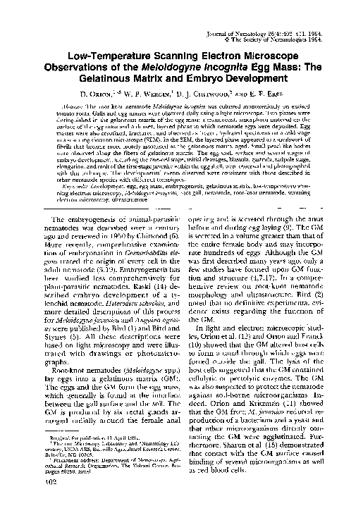 (PDF) Low-Temperature Scanning Electron Microscope Observations of the ...
