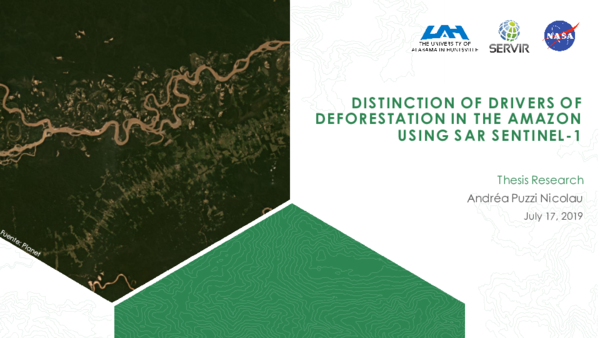 Pdf Distinction Of Drivers Of Deforestation In The Amazon Using Sar
