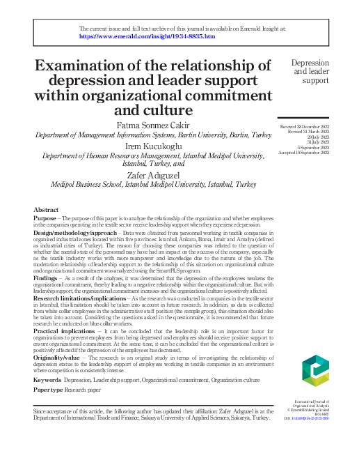 (PDF) Examination of the relationship of depression and leader support within organizational ...