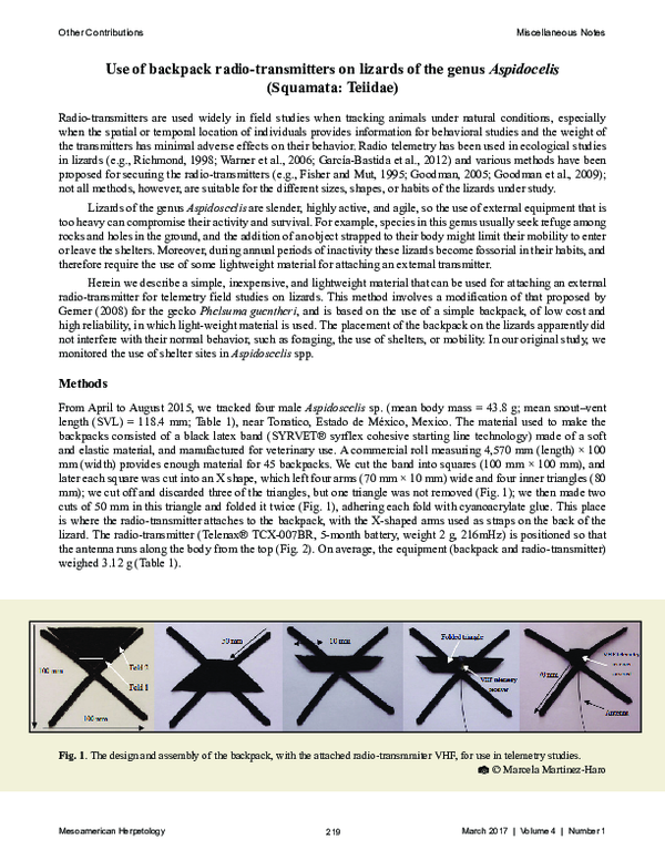 (PDF) Use of backpack radio-transmitters on lizards of the genus ...