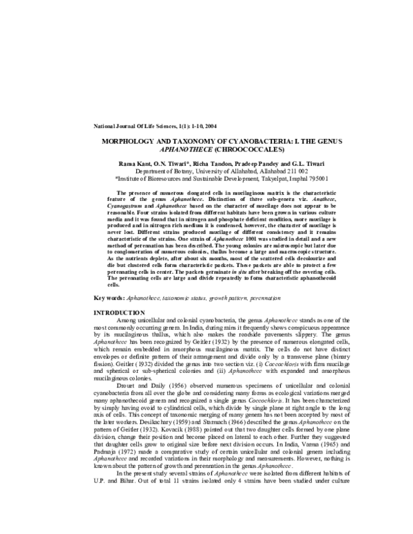 (PDF) Morphology and taxonomy of cyanobacteria: I. The genus ...