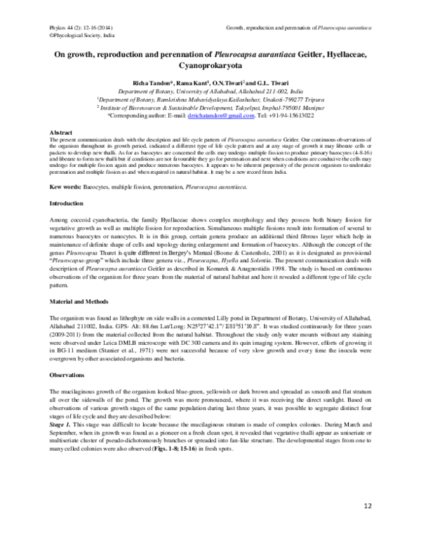 (PDF) On growth, reproduction and perennation of Pleurocapsa aurantiaca ...