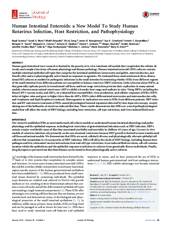 (PDF) Human Intestinal Enteroids: a New Model To Study Human Rotavirus ...