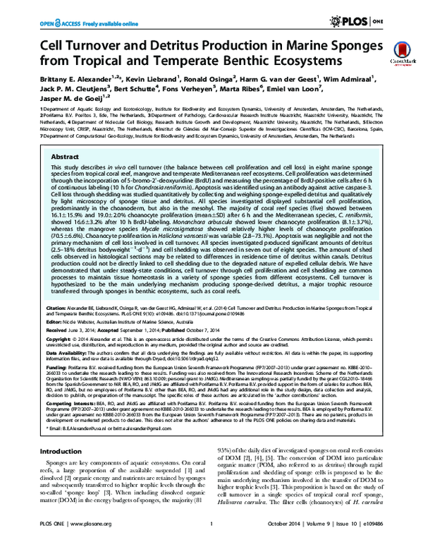 (PDF) Cell Turnover and Detritus Production in Marine Sponges from ...