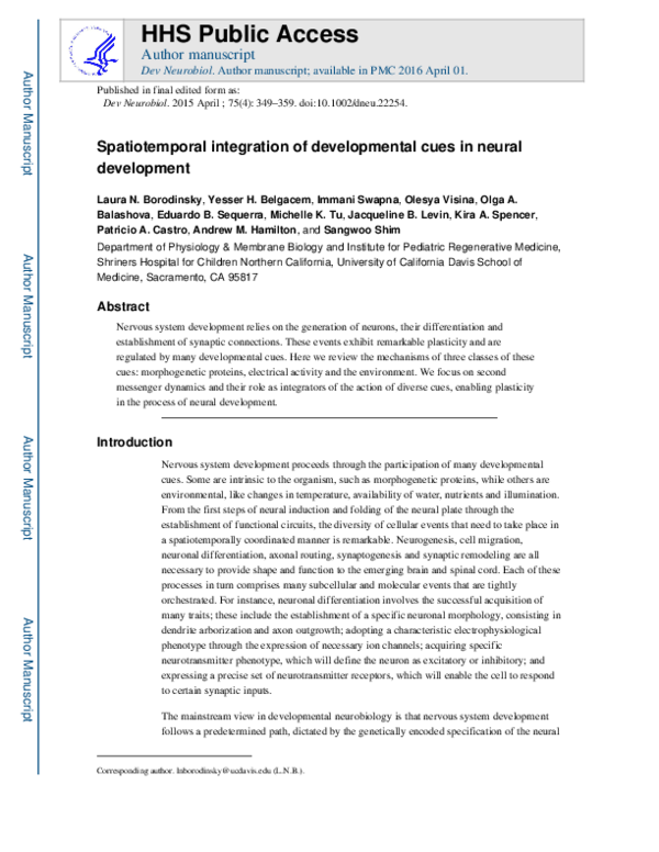 (PDF) Spatiotemporal integration of developmental cues in neural ...