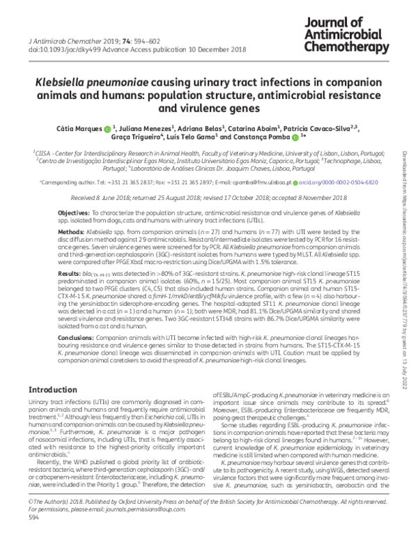 (PDF) Klebsiella pneumoniae causing urinary tract infections in ...