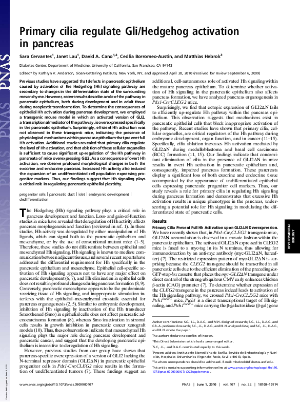(PDF) Primary cilia regulate Gli/Hedgehog activation in pancreas