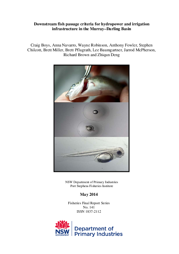 (PDF) Downstream fish passage criteria for hydropower and irrigation ...