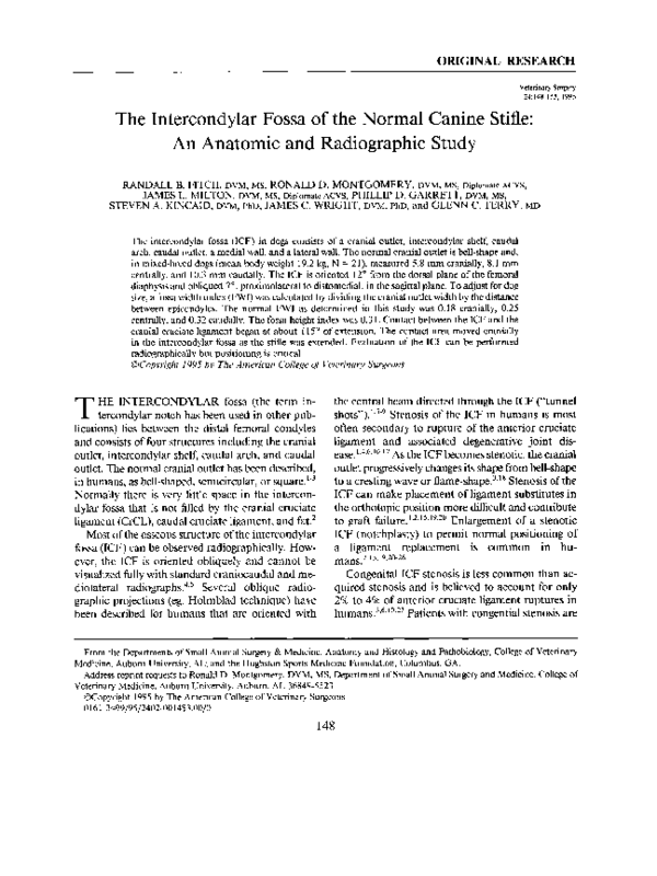 (PDF) The Intercondylar Fossa of the Normal Canine Stifle: An Anatomic ...