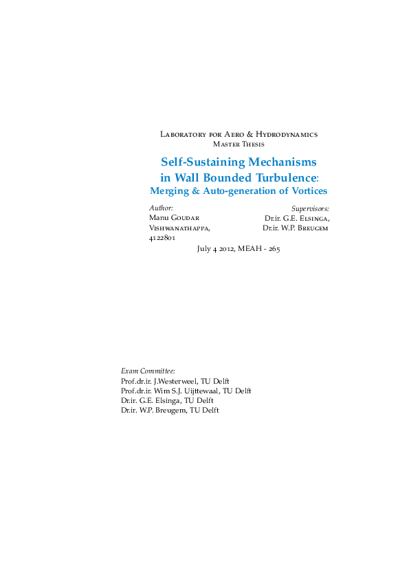 (PDF) Self-Sustaining Mechanisms in Wall Bounded Turbulence: Merging ...