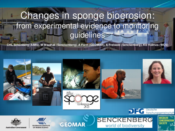 (PDF) Changes in sponge bioerosion: from experimental evidence to ...
