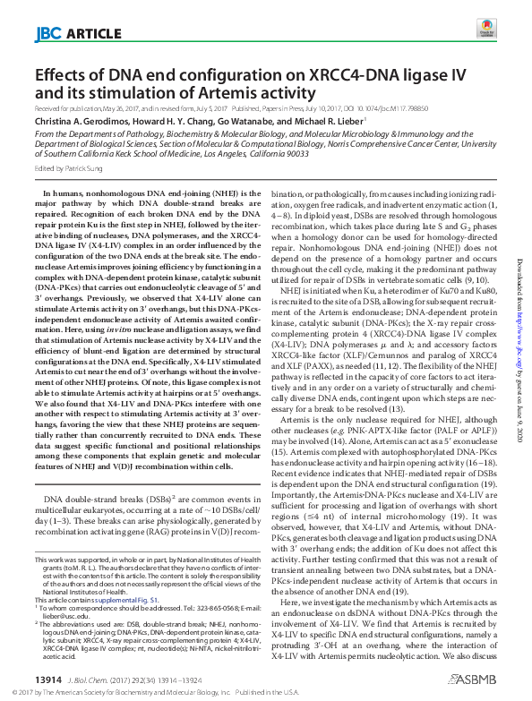 (PDF) Effects of DNA end configuration on XRCC4-DNA ligase IV and its ...