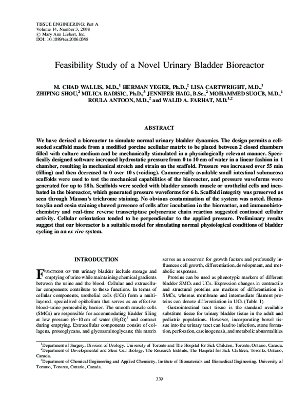 (PDF) Feasibility Study of a Novel Urinary Bladder Bioreactor
