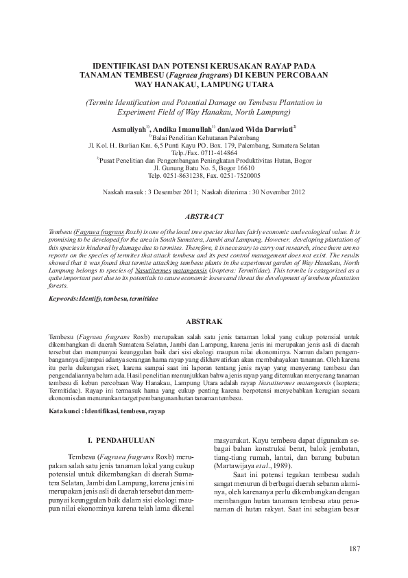 (PDF) IDENTIFIKASI DAN POTENSI KERUSAKAN RAYAP PADA TANAMAN TEMBESU ...