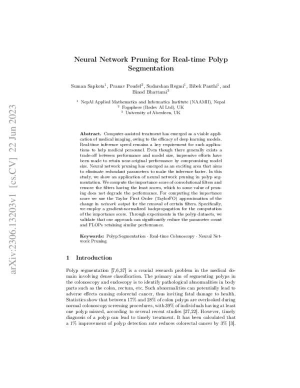 (PDF) Neural Network Pruning for Real-time Polyp Segmentation