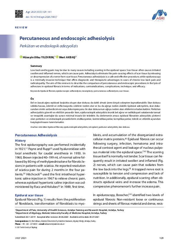 (PDF) Percutaneous and Endoscopic Adhesiolysis