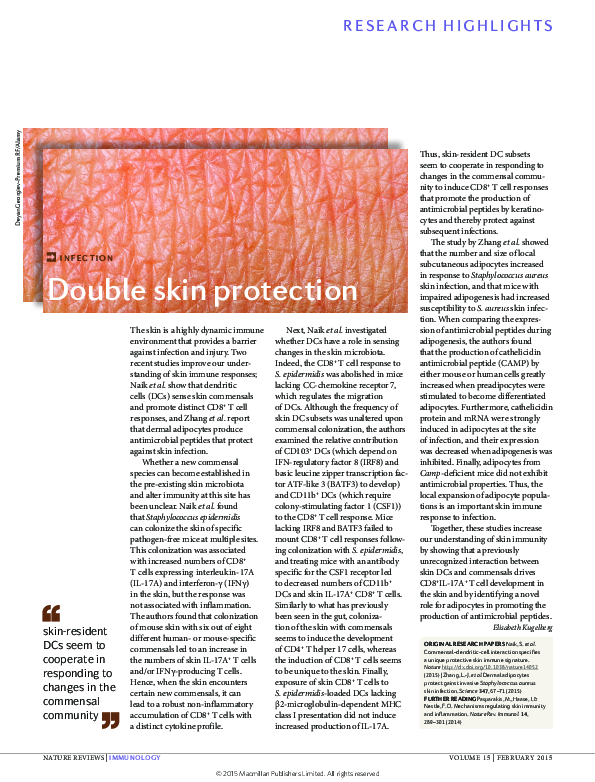 (PDF) Double skin protection