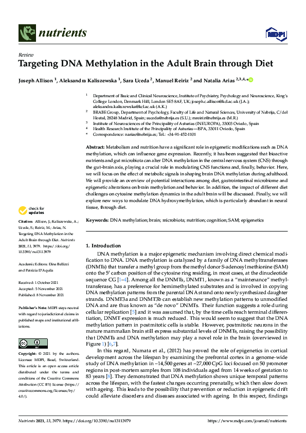 (PDF) Targeting DNA Methylation in the Adult Brain through Diet