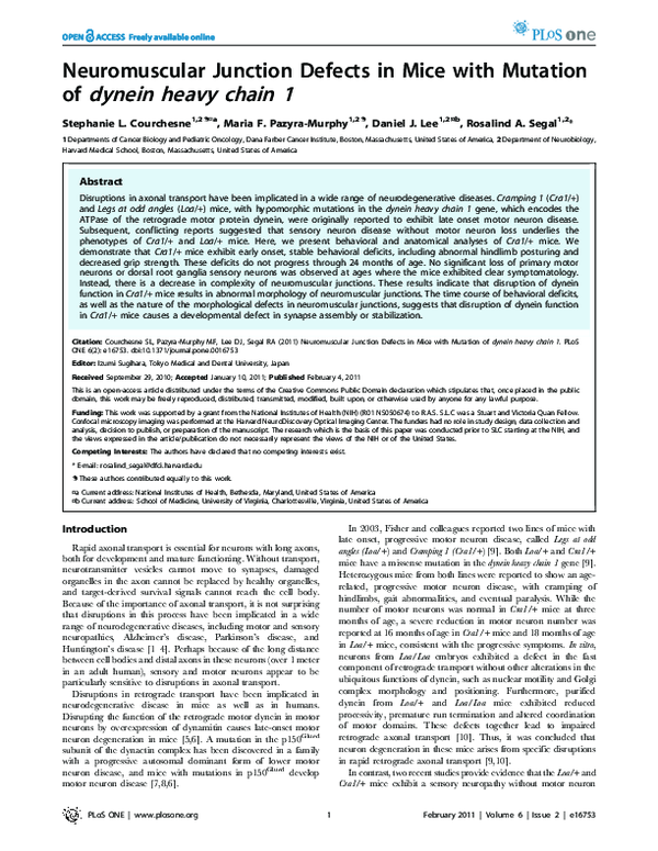 (PDF) Neuromuscular Junction Defects in Mice with Mutation of dynein ...