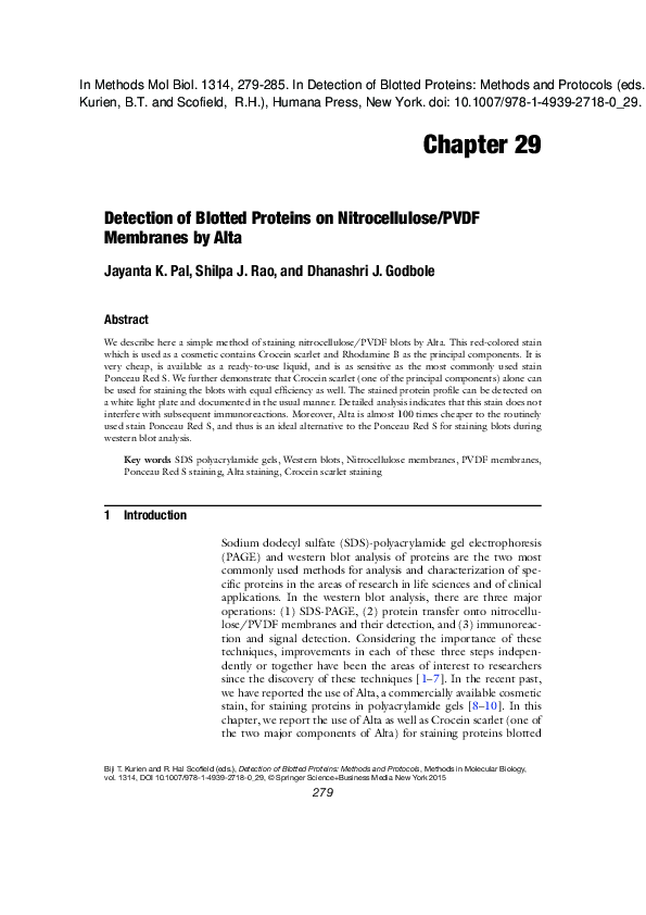 (PDF) Detection of Blotted Proteins on Nitrocellulose/PVDF Membranes by ...