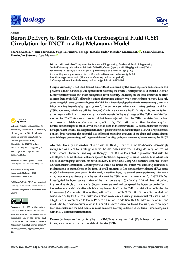 (PDF) Boron Delivery to Brain Cells via Cerebrospinal Fluid (CSF ...