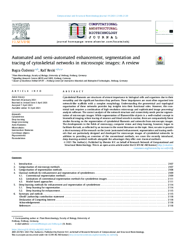 Pdf Automated And Semi Automated Enhancement Segmentation And Tracing Of Cytoskeletal