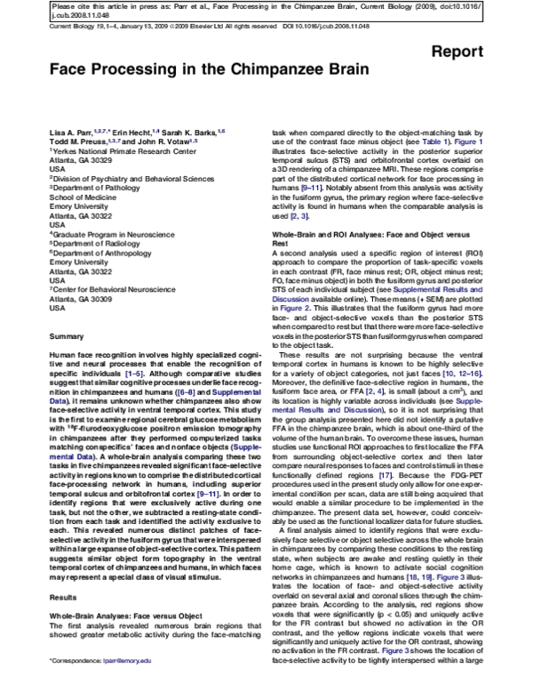 (PDF) Report Face Processing in the Chimpanzee Brain