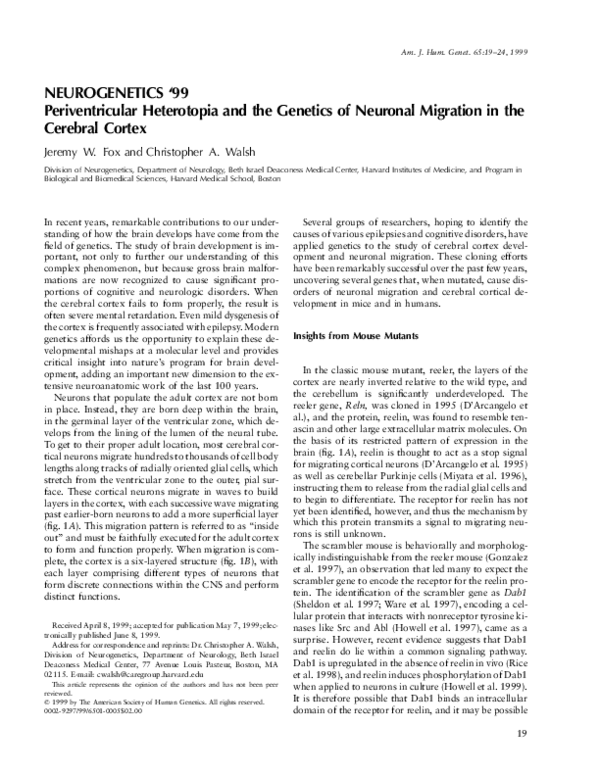 (PDF) Periventricular Heterotopia and the Genetics of Neuronal ...