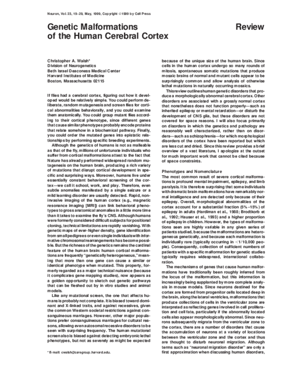 Pdf Genetic Malformations Of The Human Cerebral Cortex